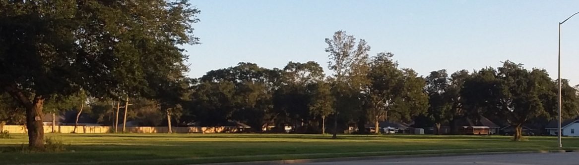 Local Technical School, Infinity College, Set to Build New Facility On ...