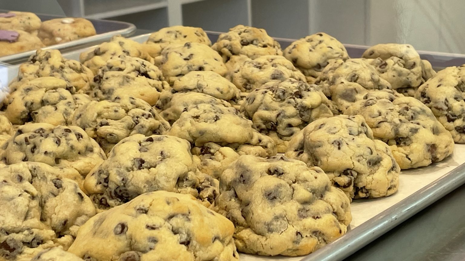 Inside Tour of Caroline’s Cookies in Parc Lafayette – Developing Lafayette Inside Tour of Caroline’s Cookies in Parc Lafayette – Developing Lafayette