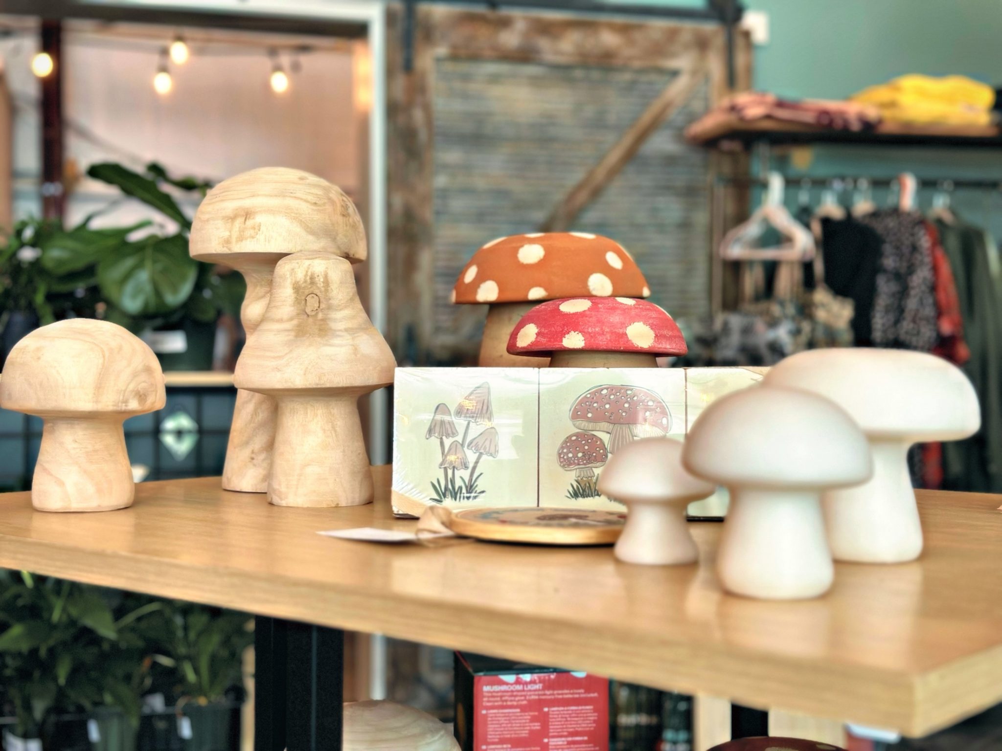 Inside Coffeeweed Cottage, Now Open – Developing Lafayette