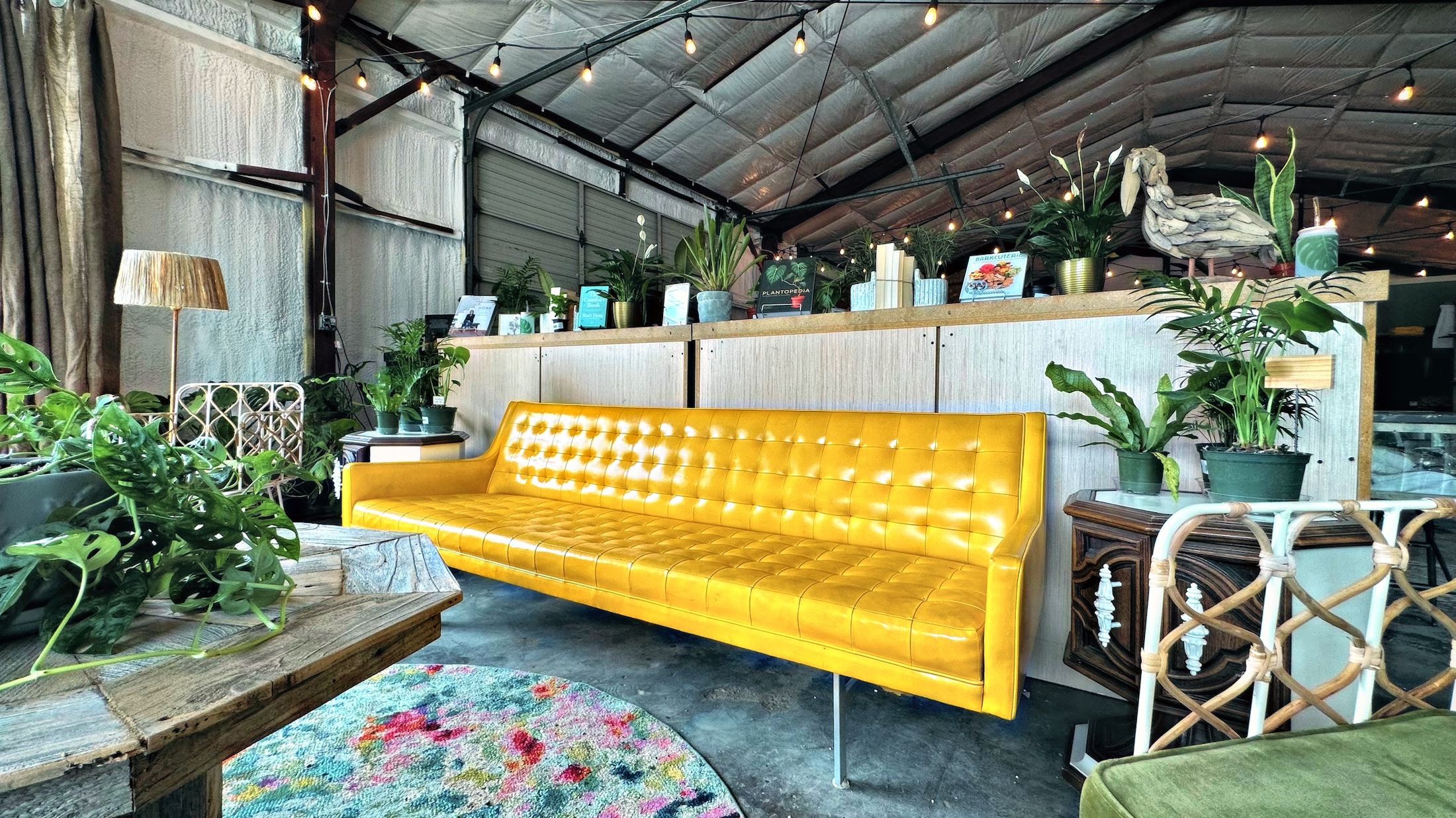 Inside Coffeeweed Cottage, Now Open – Developing Lafayette