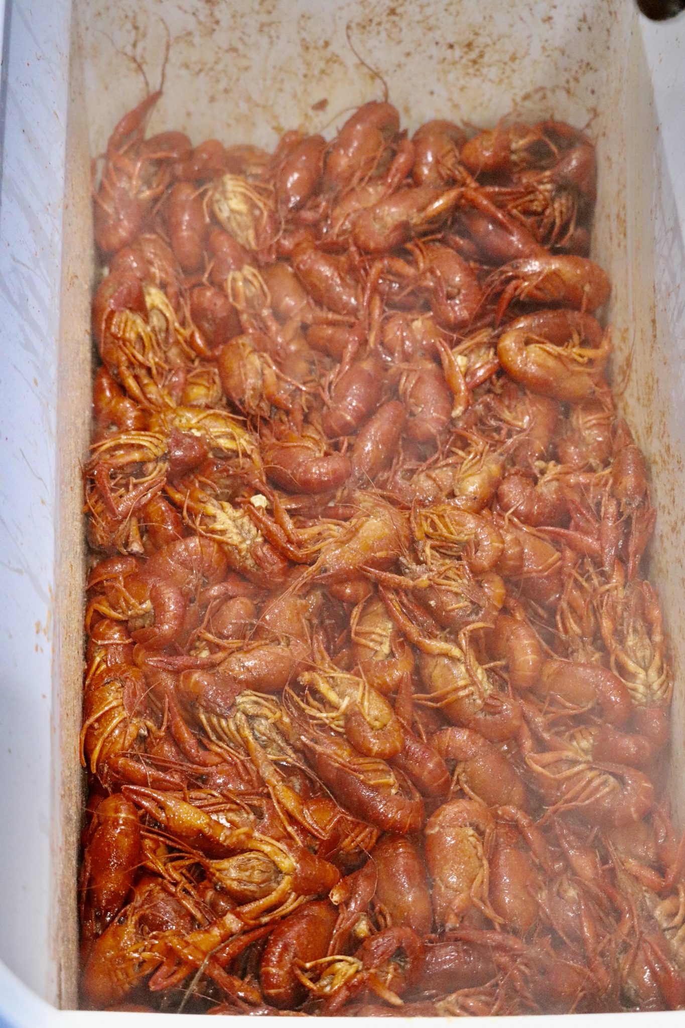 Big Red’s Crawfish, A New Crawfish Drive-Thru Opening This Wednesday on ...